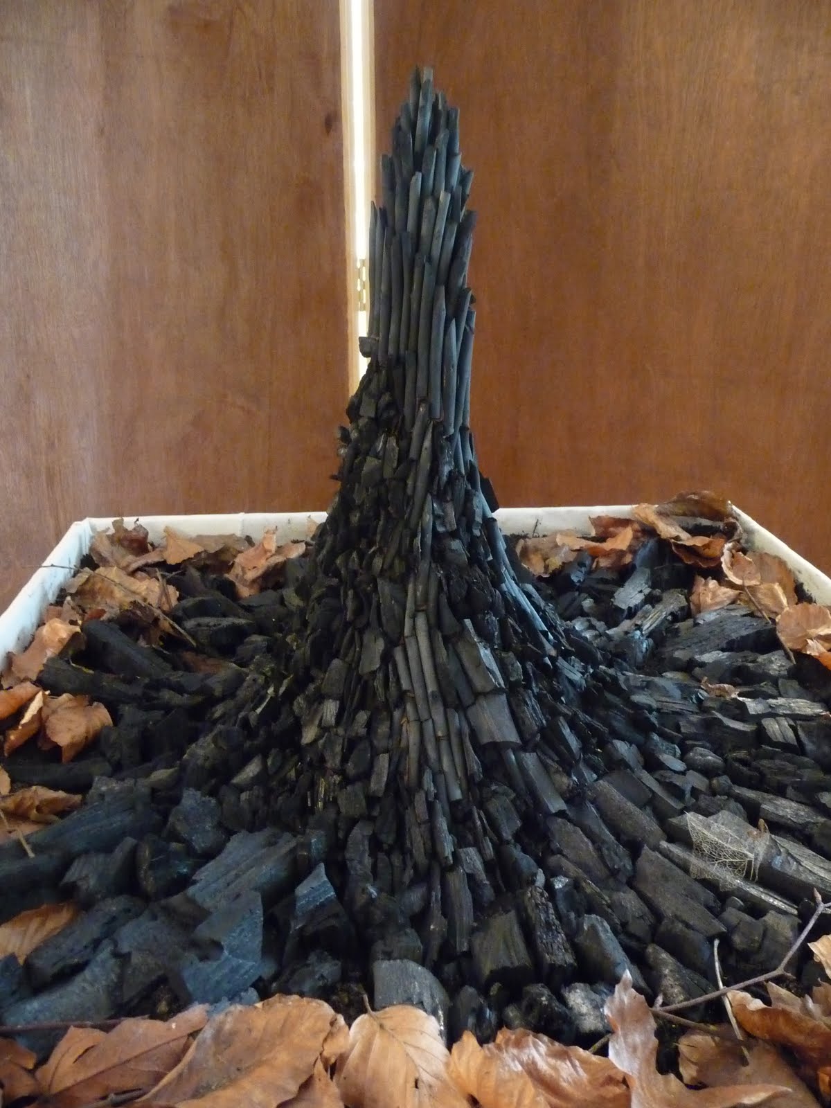 James Eddy: “Growth & Decay”, charcoal sculpture