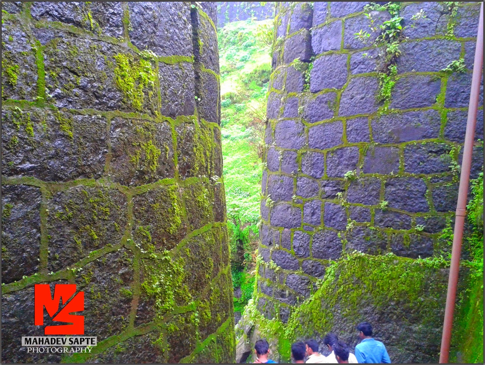 Satara - Mahabaleshwar - Pratapgad - Thoseghar -Kas Pathar & Sahyadri ...