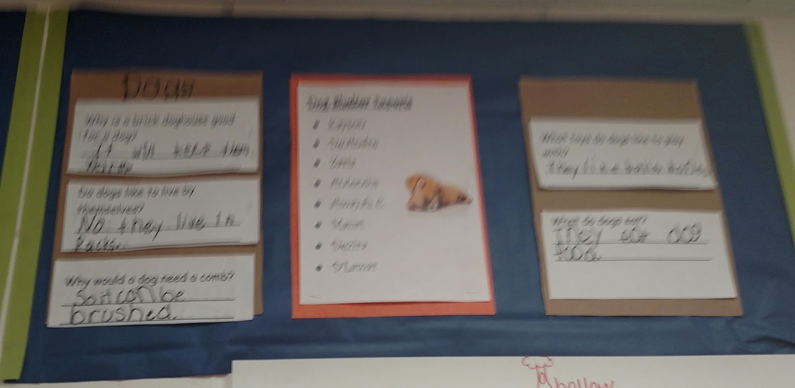 Child Centered Kindergarten- Ms. Rogers and Ms. West's Co-Teaching ...