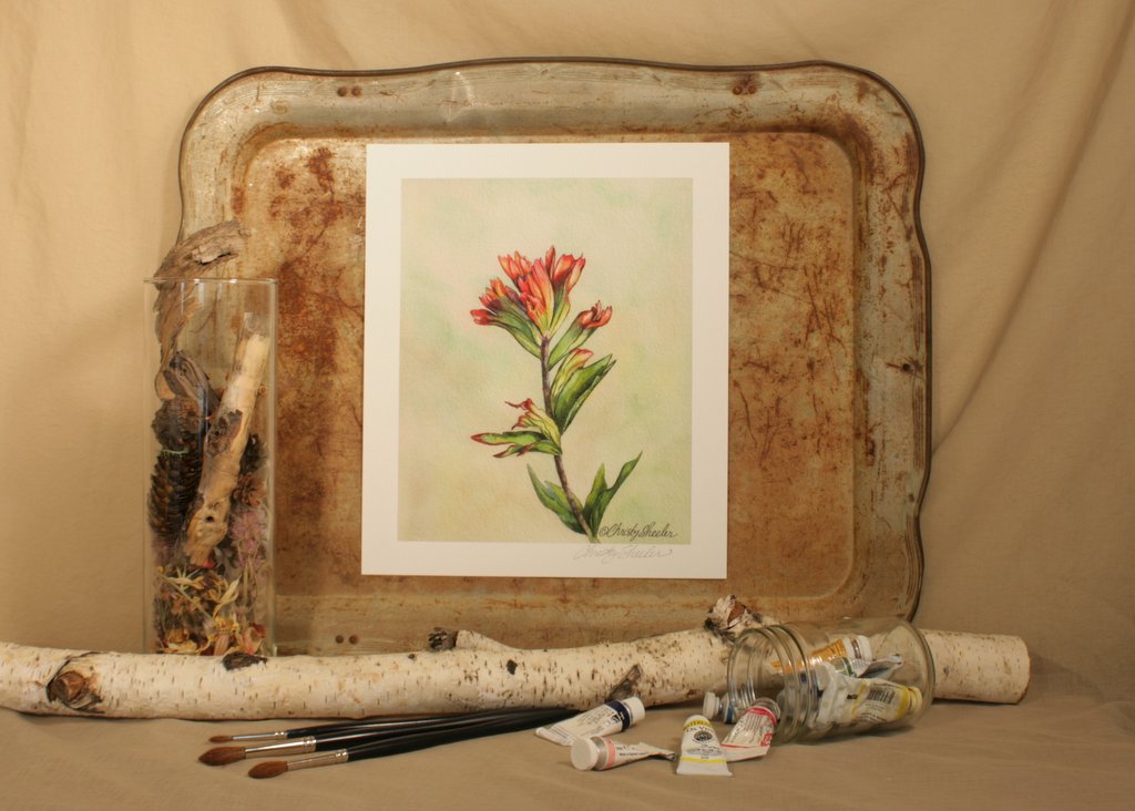 She Must Make Art : Delight (from the Indian Paintbrush Series) Giclee ...