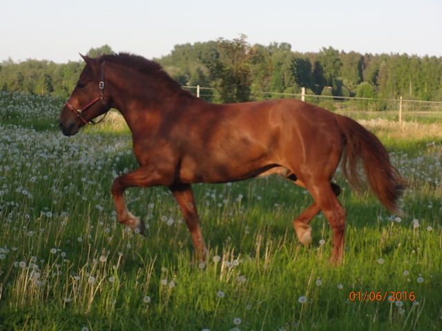 Kalkaros 29,4ake 29,8ke: AIKAA ON KULUNUT