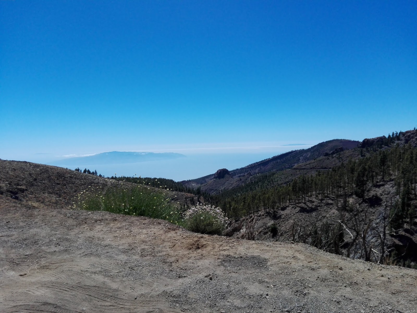 Świat w starym stylu - blog podróżniczy: Teneryfa - Wulkan Teide ...