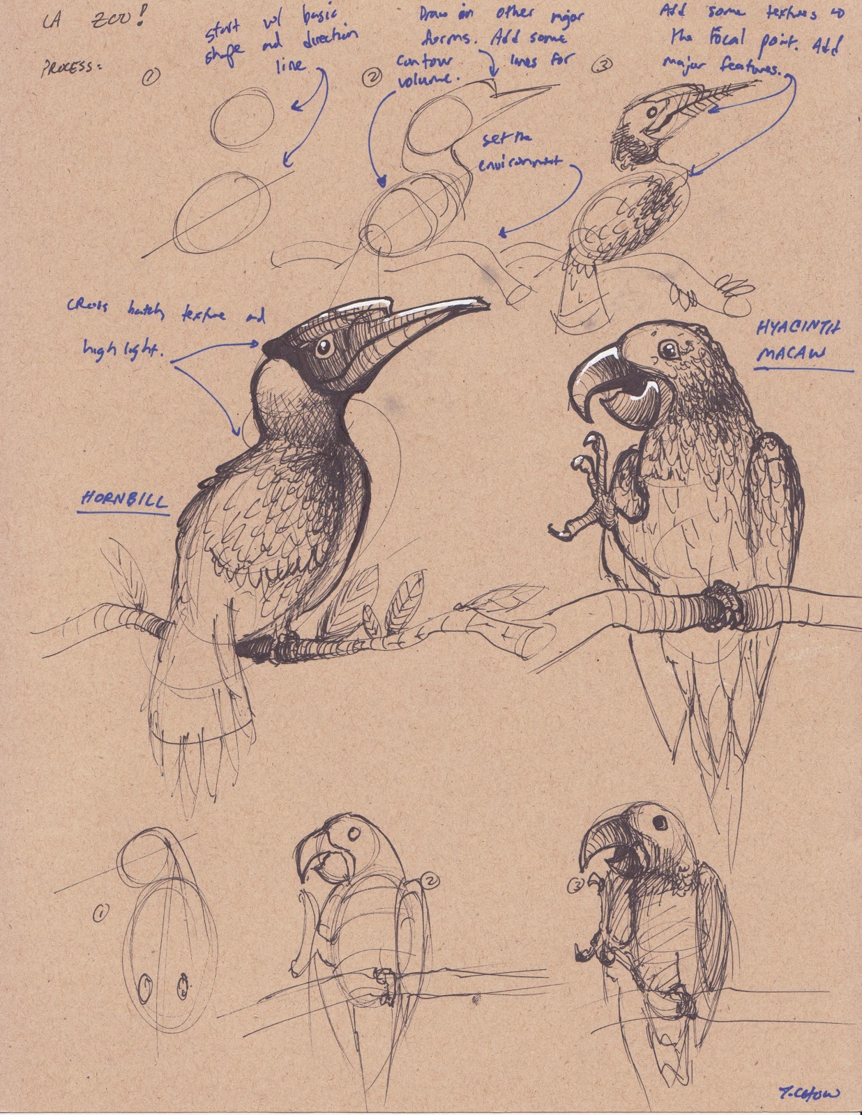 Tyler Chow: Dynamic Sketching - Week 5 - Animals