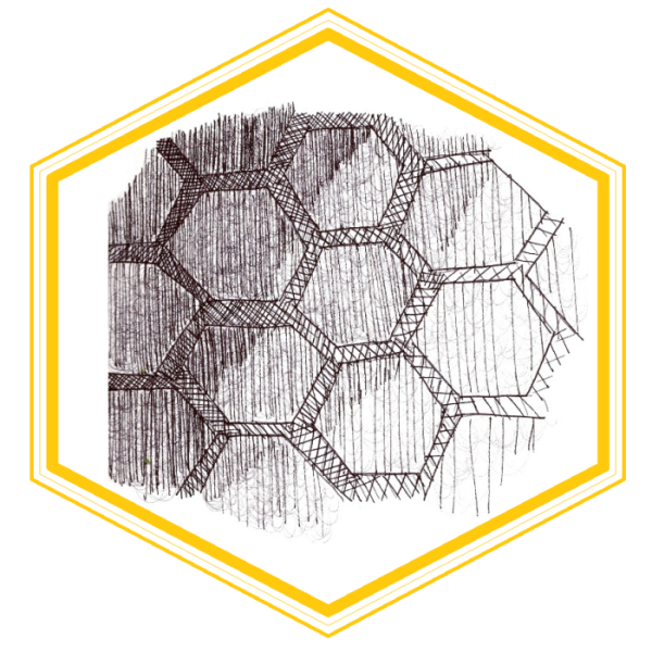 Honeycomb drawing - ukrainemondo
