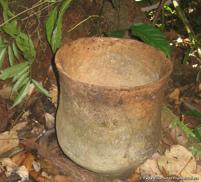White Wolf : The Uncontacted Indians of Peru - The Evidence (VIDEO)