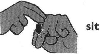 HearMyHands ASL: sign: SIT. Lil says SIT!