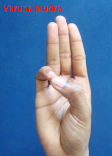 Yoga Mudra Science | Yoga Mudras | Mudra Science: Varuna Mudra - How To ...