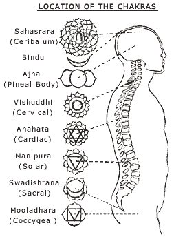 Anuloma Viloma Pranayam ~ PRANAYAMA