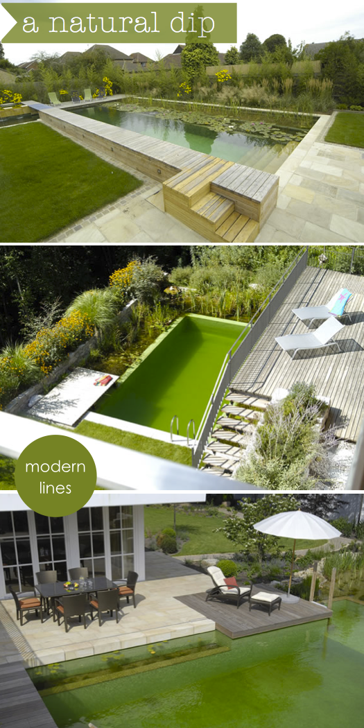 In the Pool: eco-friendly swimming pool