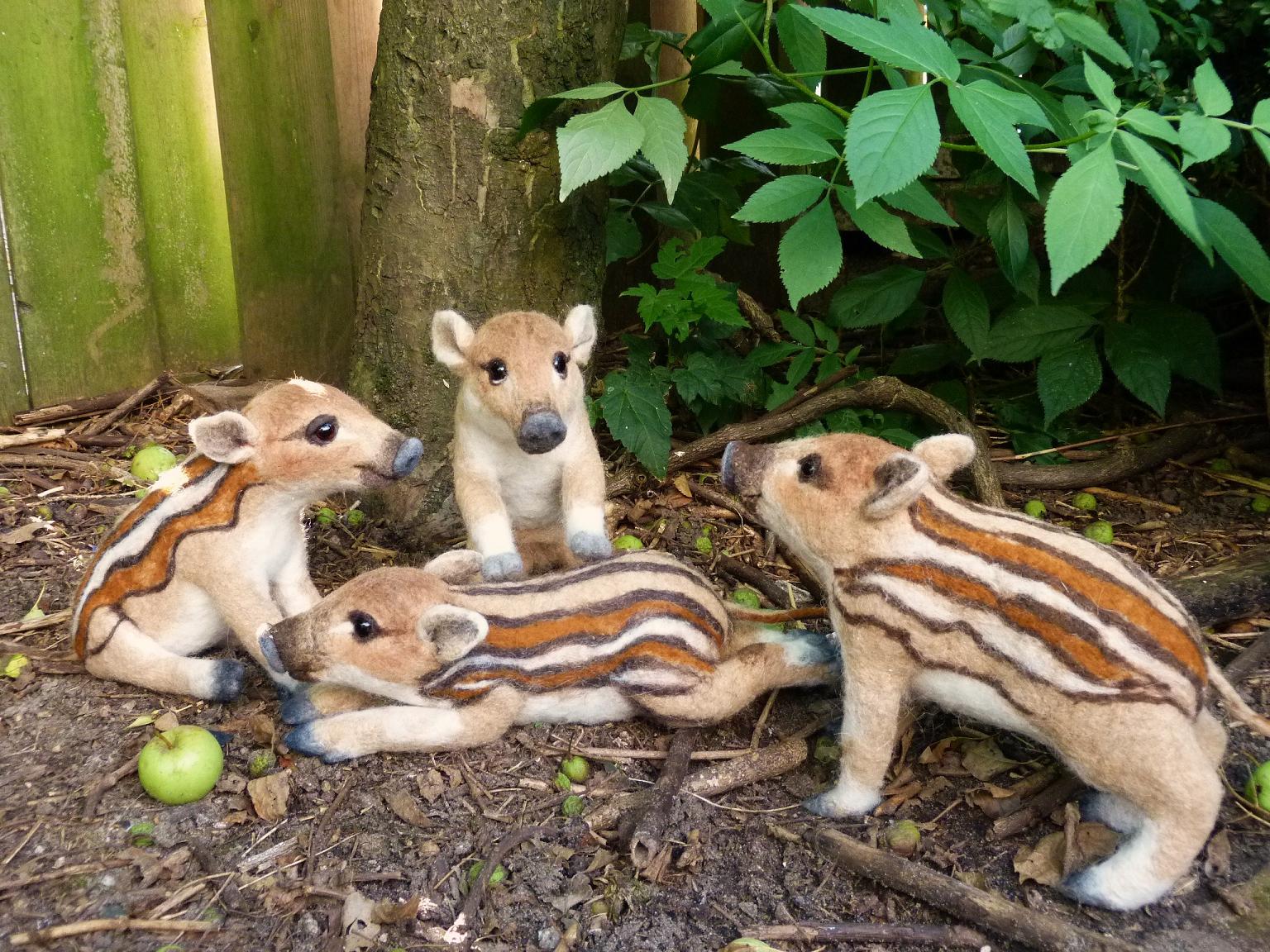 Pip's poppies: August 2011