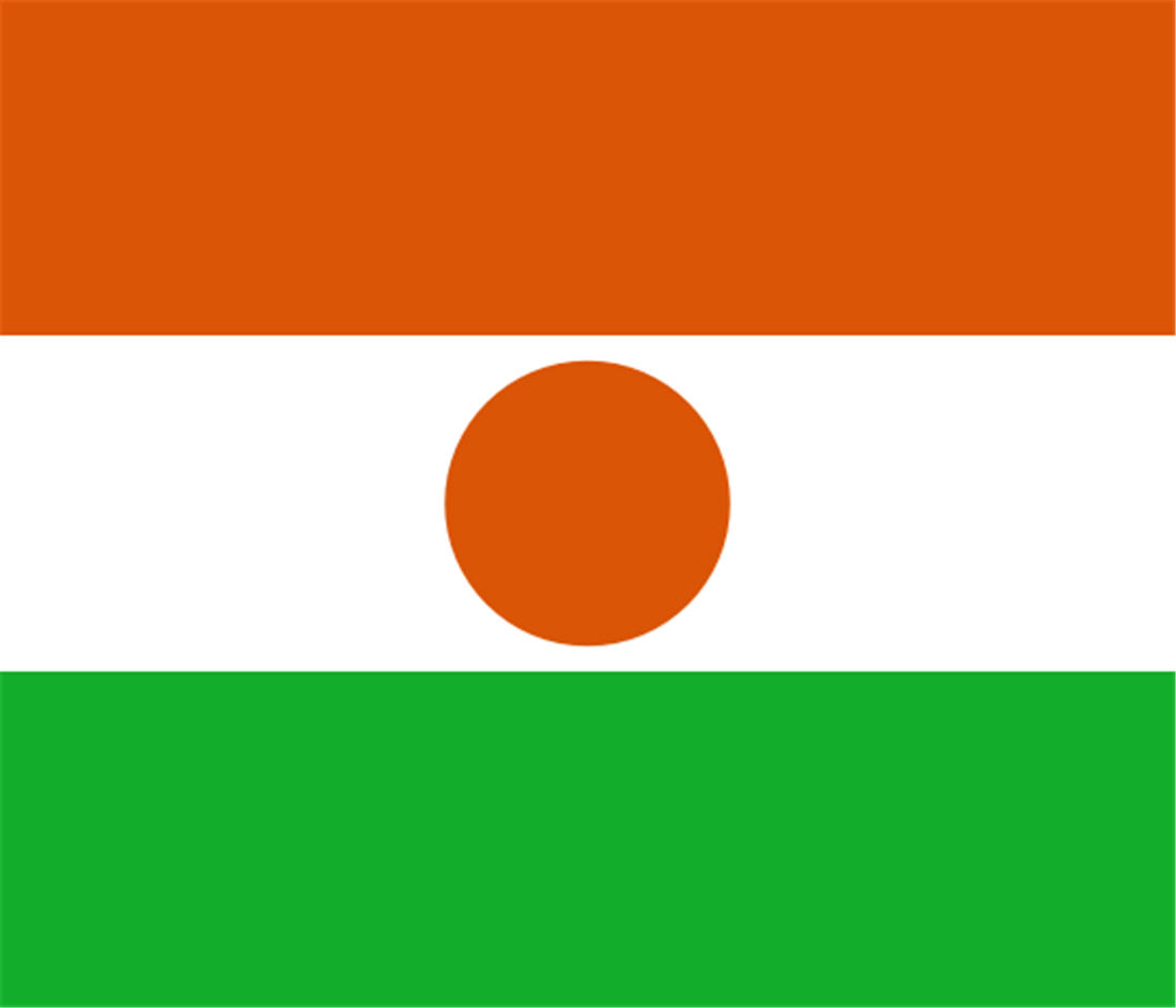 Just Pictures Wallpapers: Niger Flag