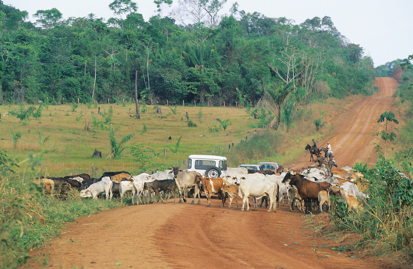 GEOGRAFILIA: Defrișările din pădurea Amazoniană