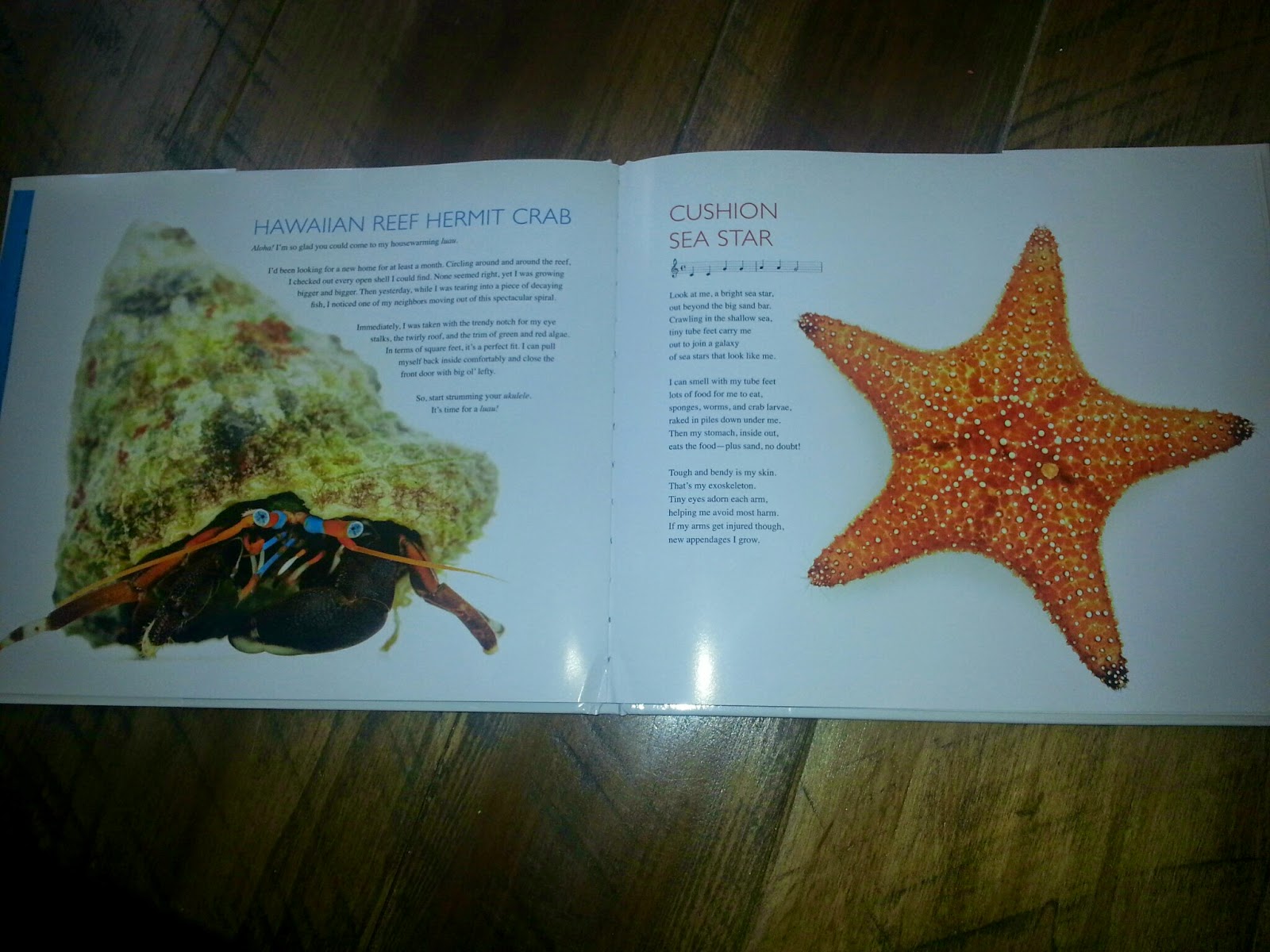 Experience Marine Life Like Never Before: Curious Creatures Marine # ...