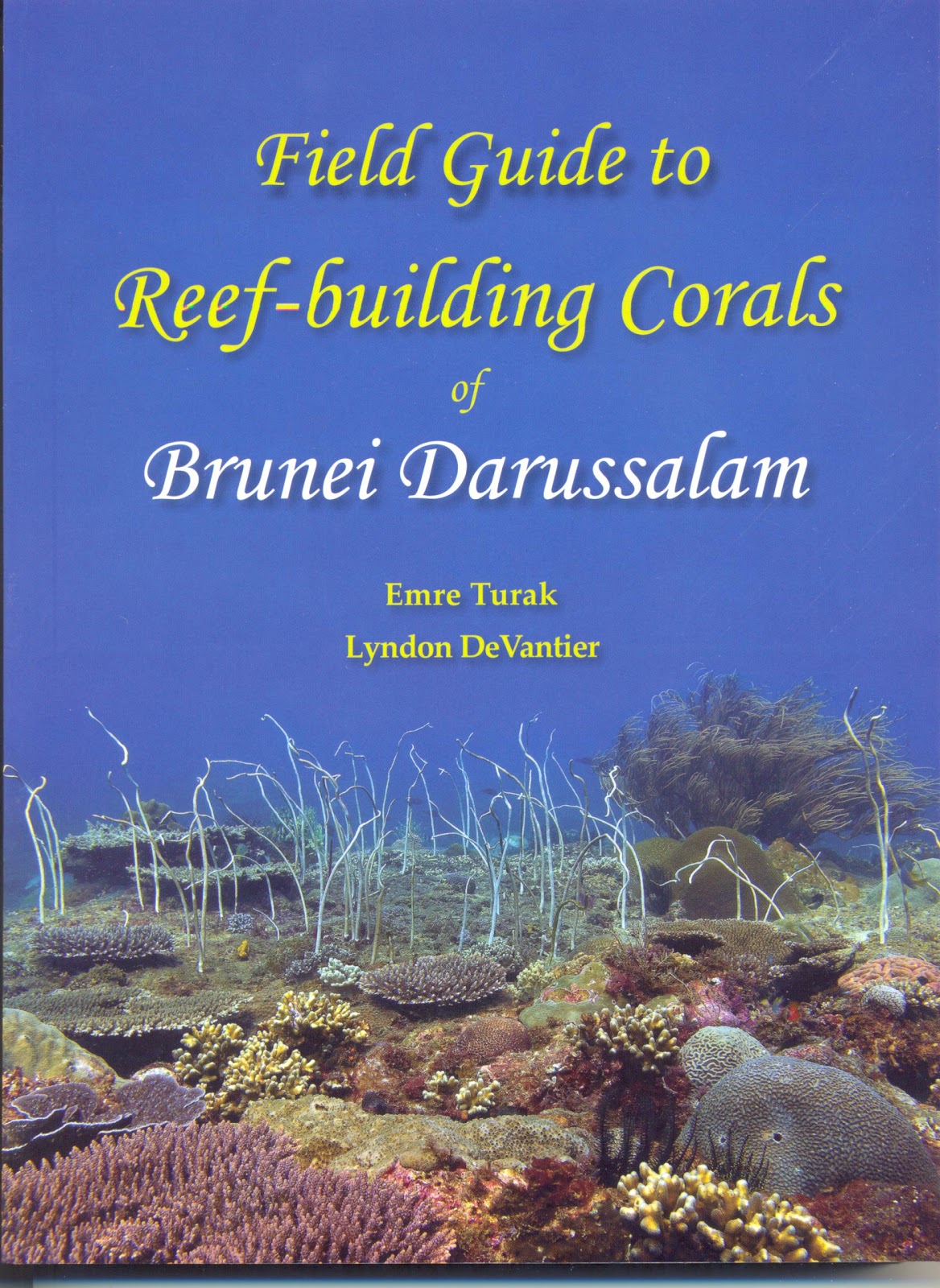 Reef Building Corals of Brunei