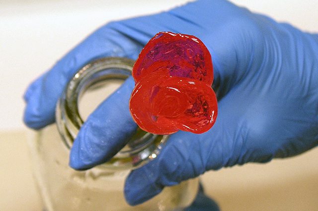 Step by step instructions to Make Roses Out of Jolly Ranchers Candy