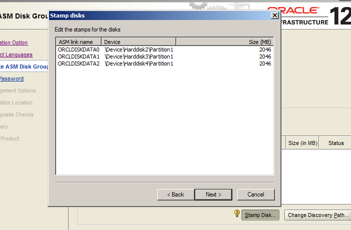 Asm Disks Stamping On Windows Oraclenext Solution To Your Oracle Problems