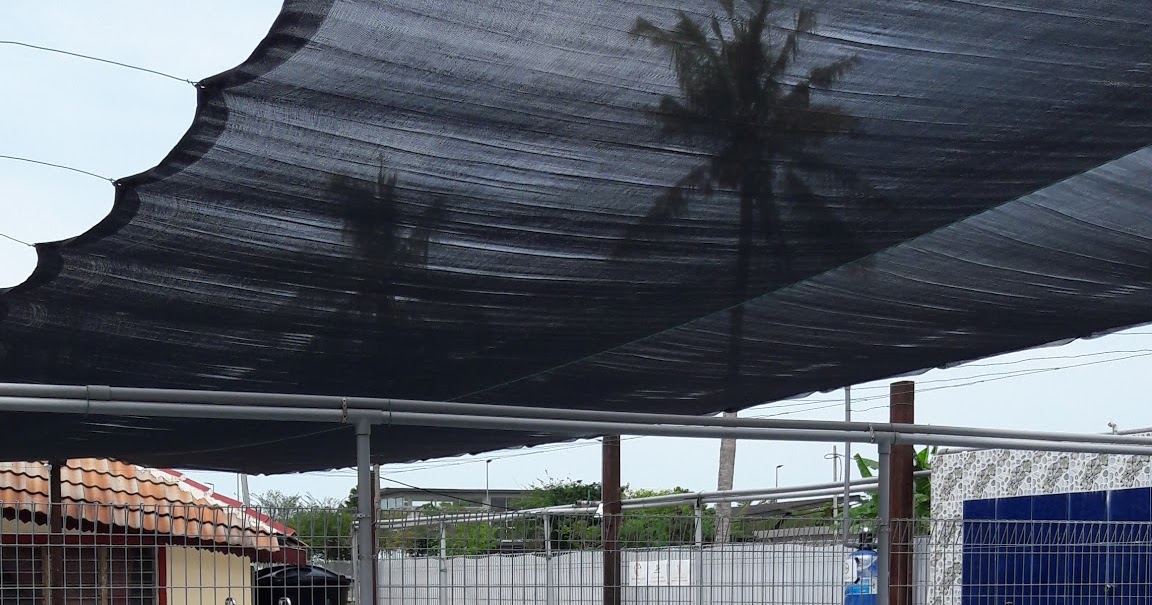 Memory ZiaSaf: Visit My Malaysia (3) - Muara Padang Temu Homestay, Melaka.