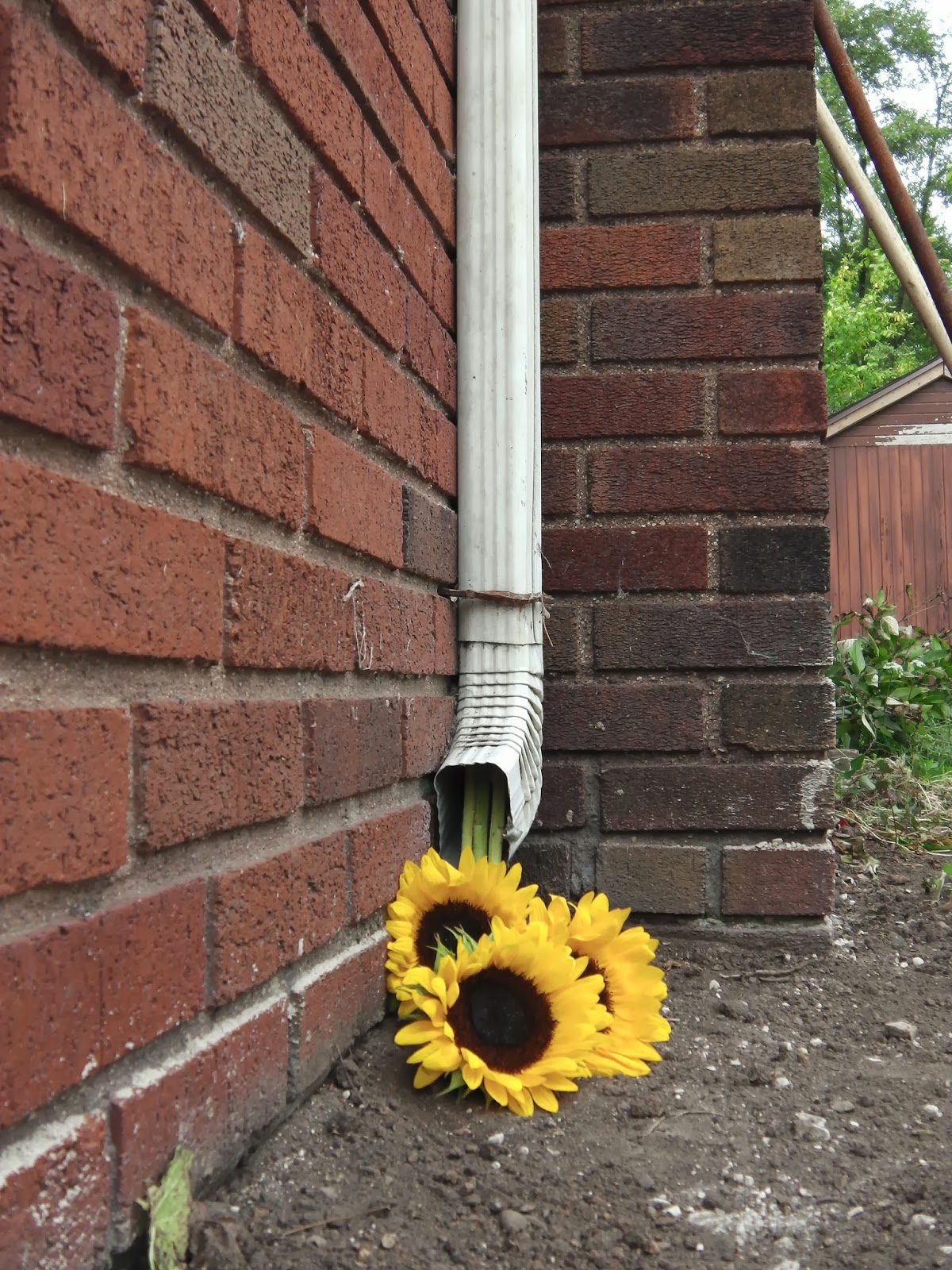 Allison Paciorka ARTDES Blog: Photographic themes - Objects in a place ...