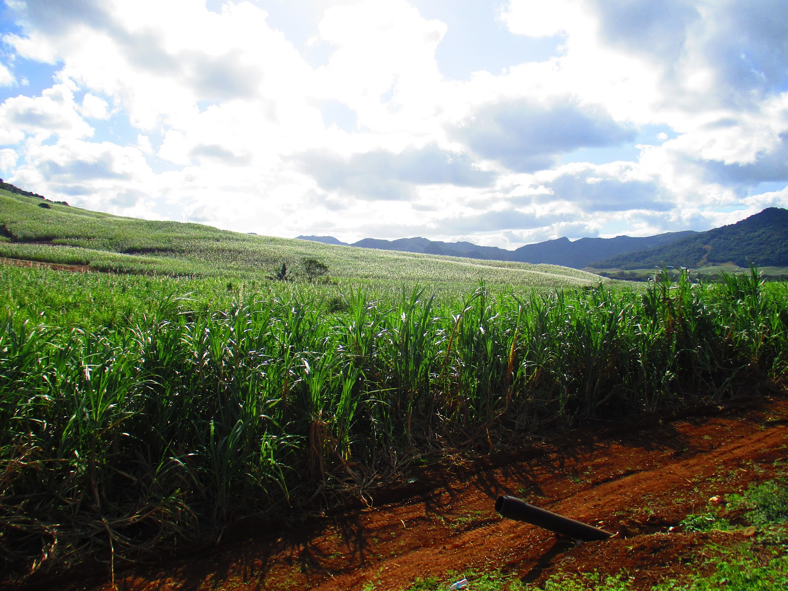 Go with Henry: Falaise Rouge, Sugar plantations & Dutch landing monument
