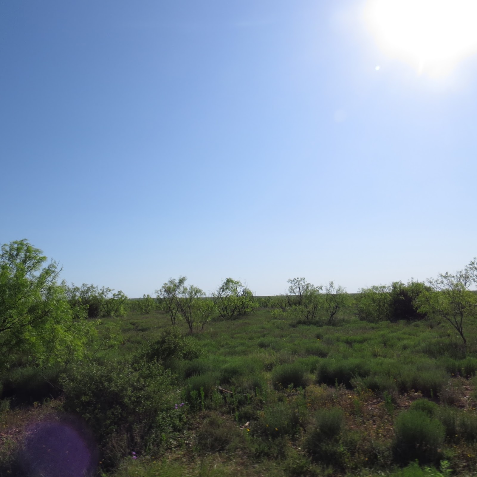 Navasota Ranch: Triangle Ranch, Cottle County Texas