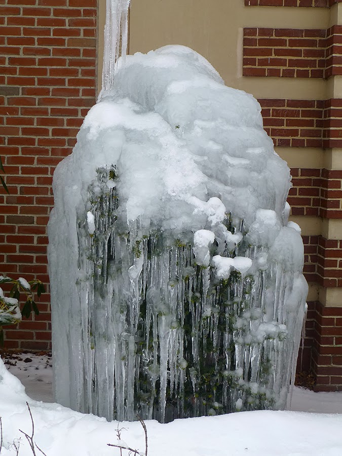 Oaxaca-The Year After: There's ice and then there's ice....