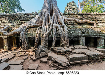 Broderie de mots...: LE BANIAN