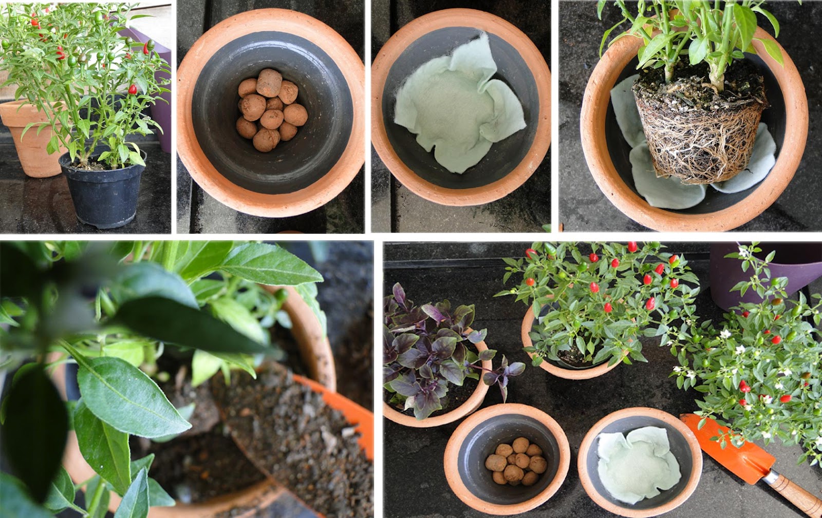 Hort&CIA: HORTAS SIMPLES