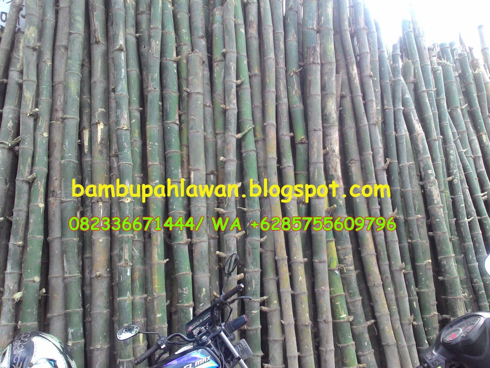 BAMBU PAHLAWAN: jual bambu banten jual sesek gedek banten Lebak ...