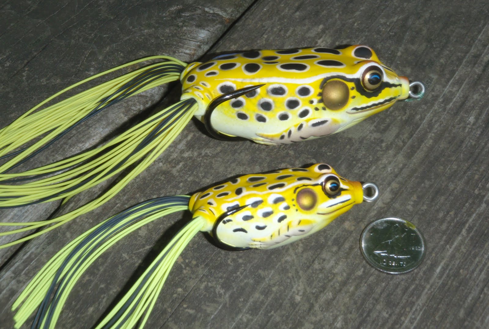Bass Junkies Fishing Addiction: Frog Review: Koppers Live Target "Mini ...