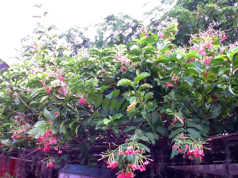 Sedang Sedang: February 2014