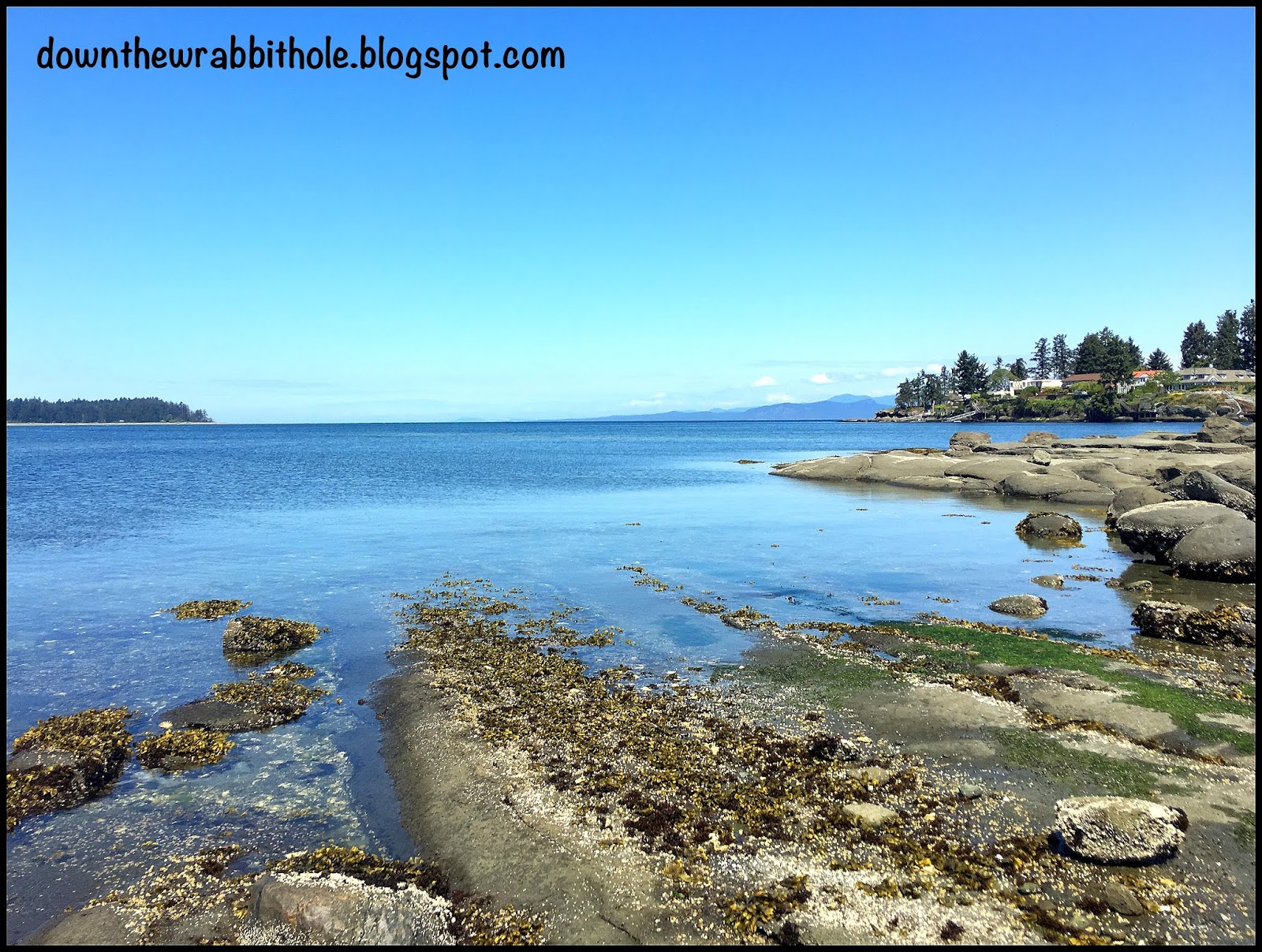 Down the Wrabbit Hole - The Travel Bucket List: 5 Family Friendly ...