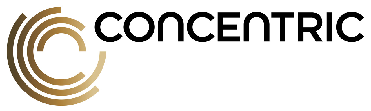 TEAM 3 | CONCENTRIC AB: Introduction