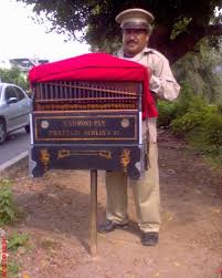 EL CAJON DE LOS CONOCIMIENTOS: ORGANILLERO
