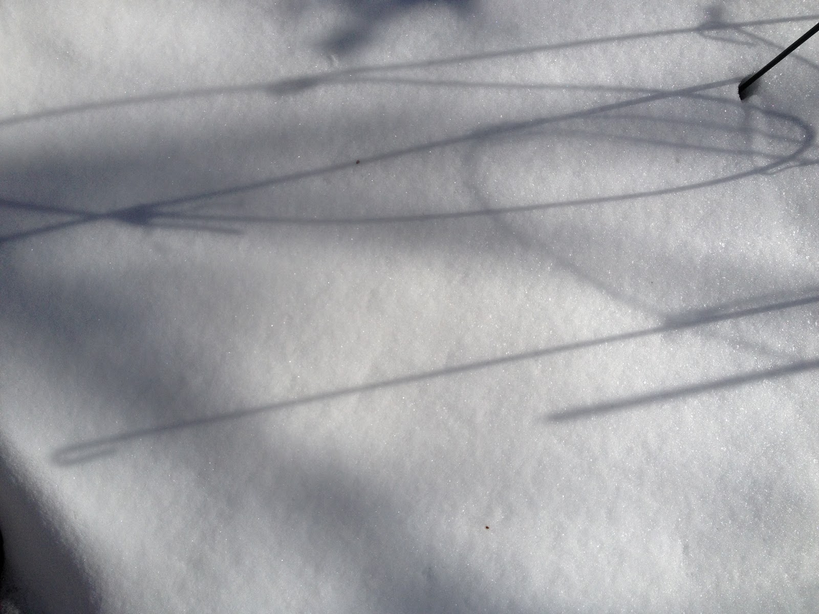 TeacherDance: Beauty In The Snow - Shadows