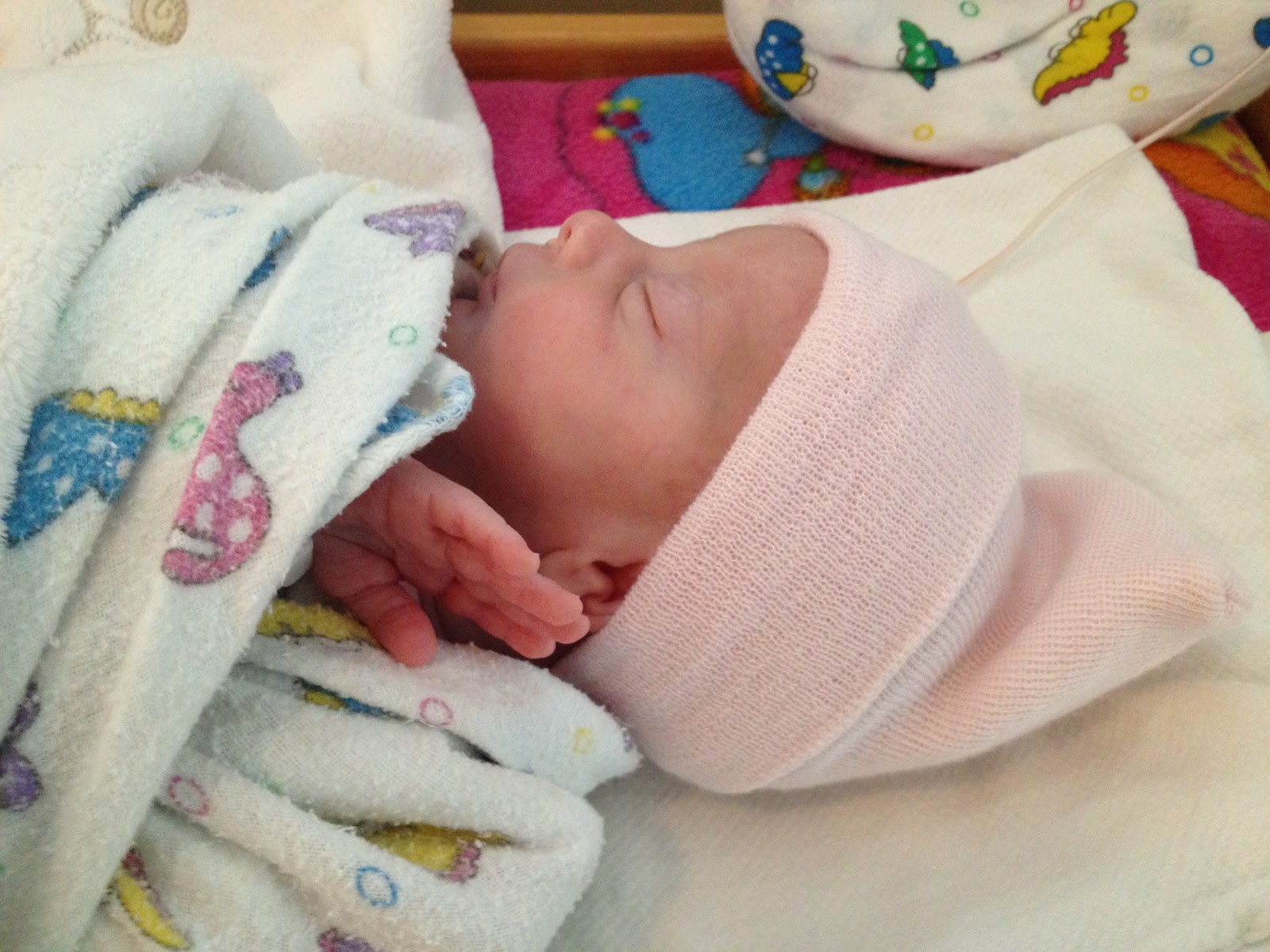 The Pair of Scates: Open Cribs