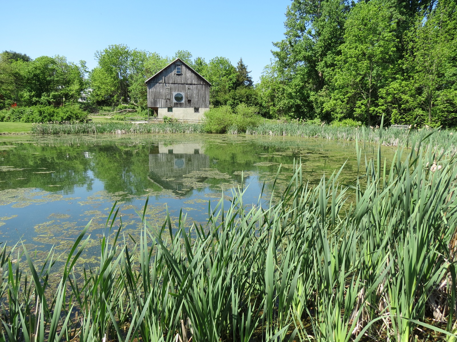 Viewing nature with Eileen: Charlotte's Quest Nature Center