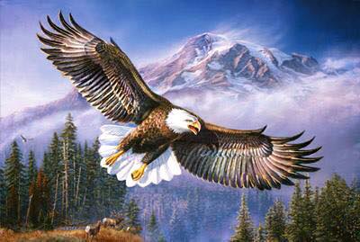 BEWUSSTES SEIN: Texte zur Zeitqualität: DER ADLER ERHEBT SICH AUS DER ...