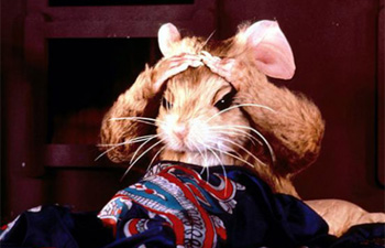 All-Star Video: Guest Review: THE WITCHES