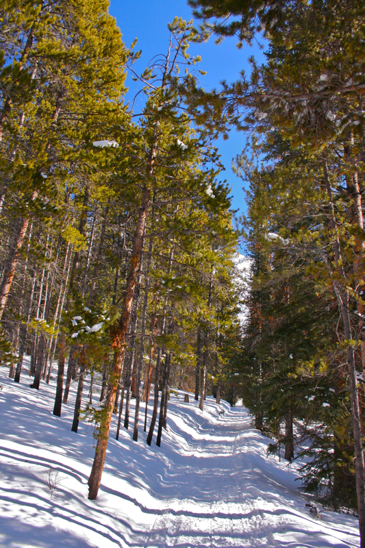 Colorado Lifestyle: Pennsylvania Gulch Snowshoe