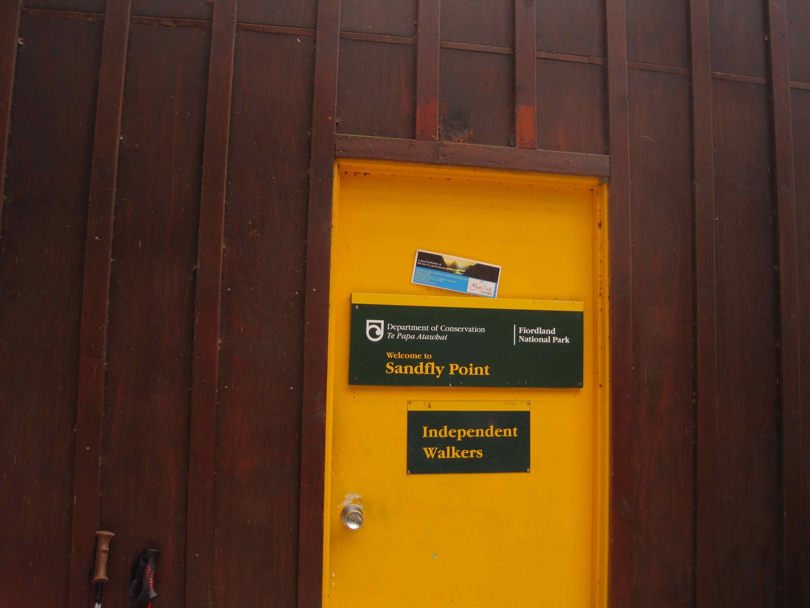 Carolyn in Aotearoa: Milford Track, Day Four: Dumpling Hut to Sandfly ...