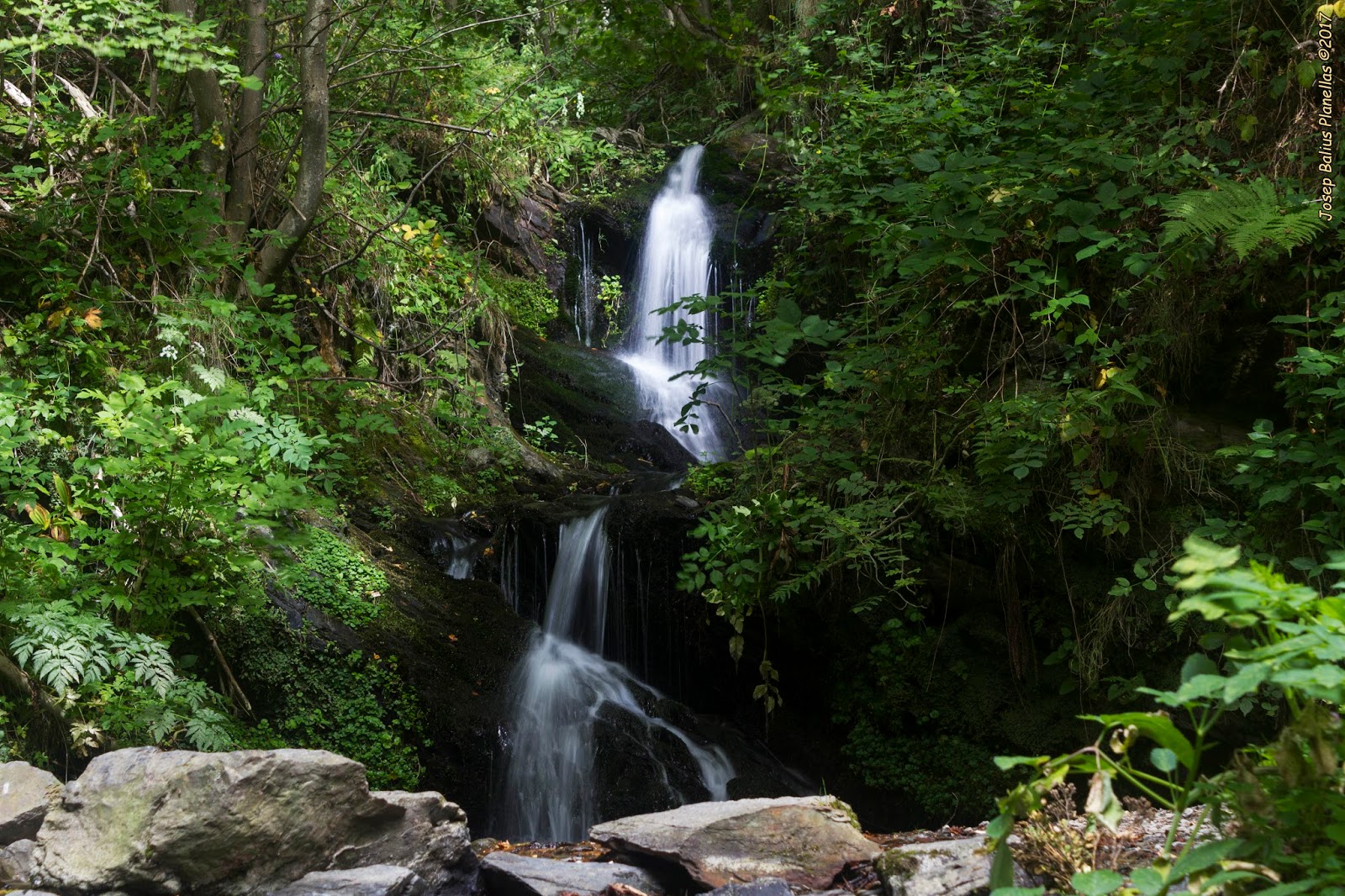 Racons de Catalunya: Salt del torrent de Pastuira (Setcases)