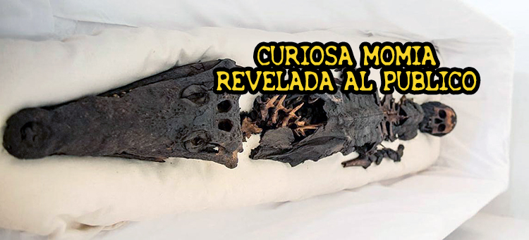 Curiosa momia revelada al publico / Grandes enigmas y misterios del mundo