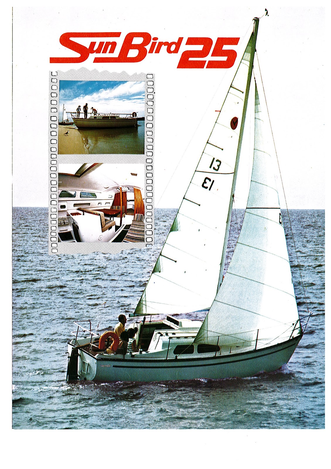 Bolly Blog: Never mind the Sunmaid, what about the Sunbird?