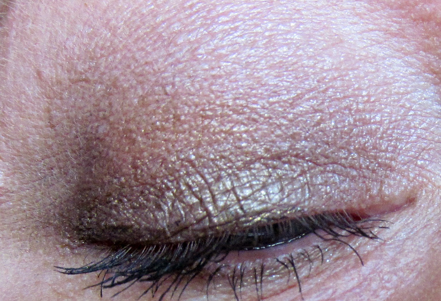 Bon Vivant Beauty: Abyssinian Catbird by Rouge Bunny Rouge: Stunning