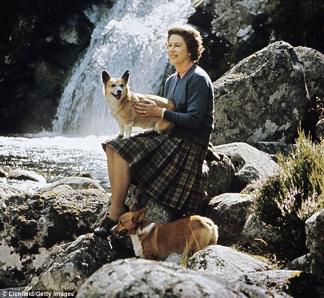 "Royal Family Ties - The Corgis!