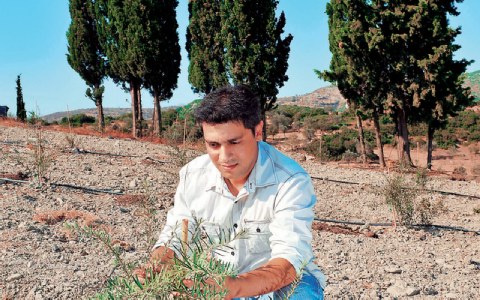 ΛΑΛΑ ΤΟ!!!: ΙΠΠΟΦΑΕΣ: ΜΙΑ ΝΕΑ ΒΙΟΛΟΓΙΚΗ ΚΑΛΛΙΕΡΓΕΙΑ ΣΤΟ ΑΛΙΒΕΡΙ ΑΠΟ ΤΟΝ ...