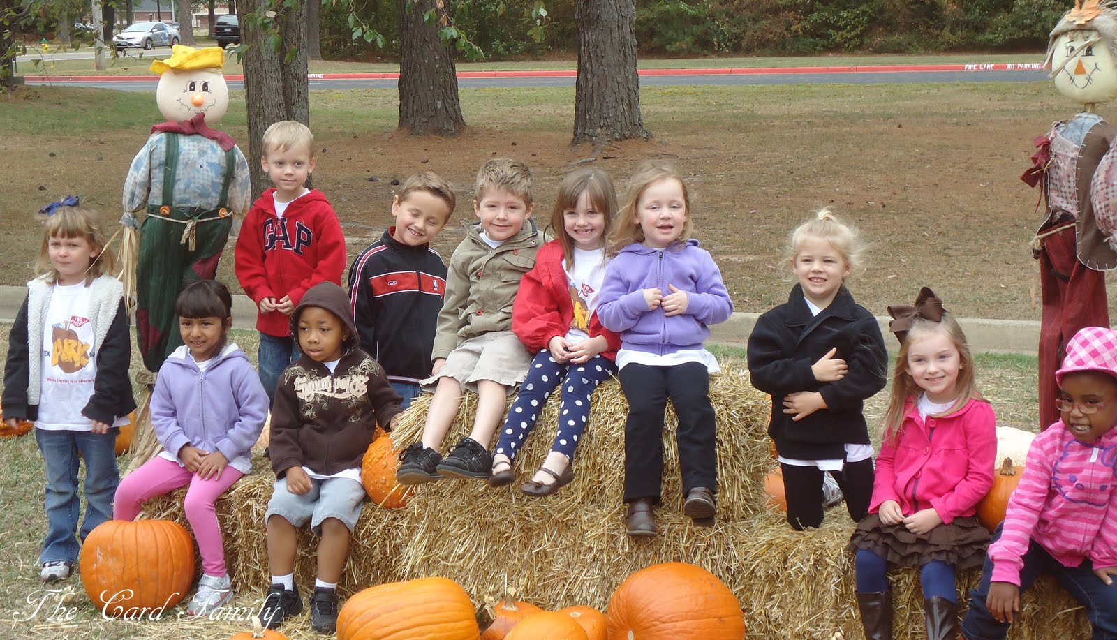 {All Things New}: 2011