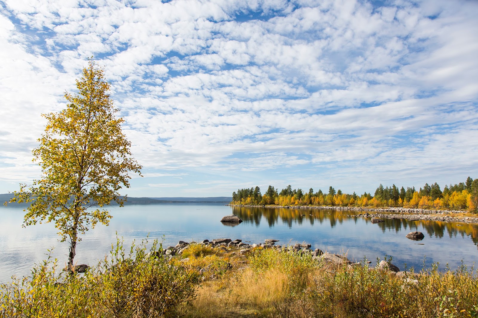 Lappland Nature: Hösten är här