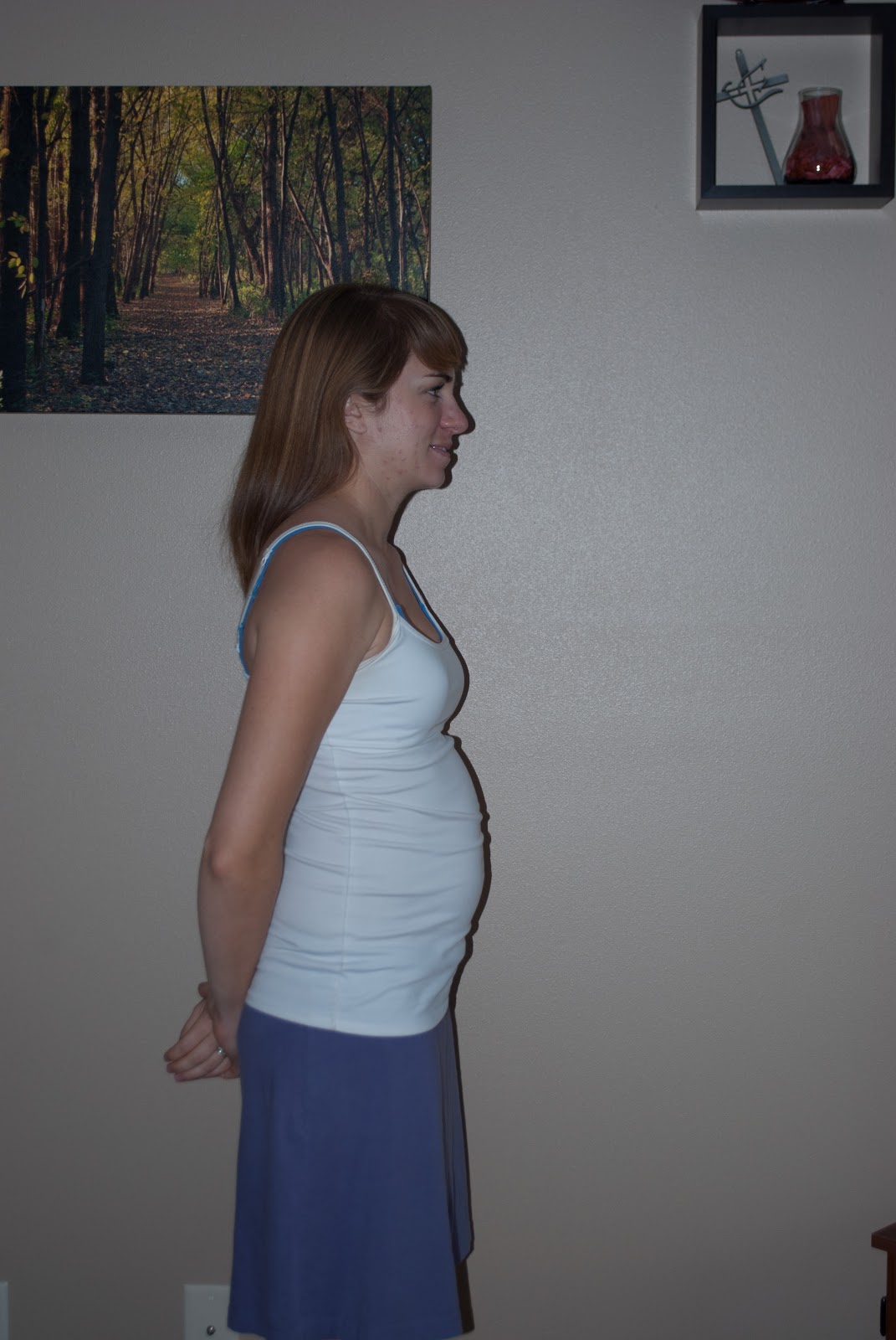 NC meets SD: Belly Pictures: Weeks 17-20