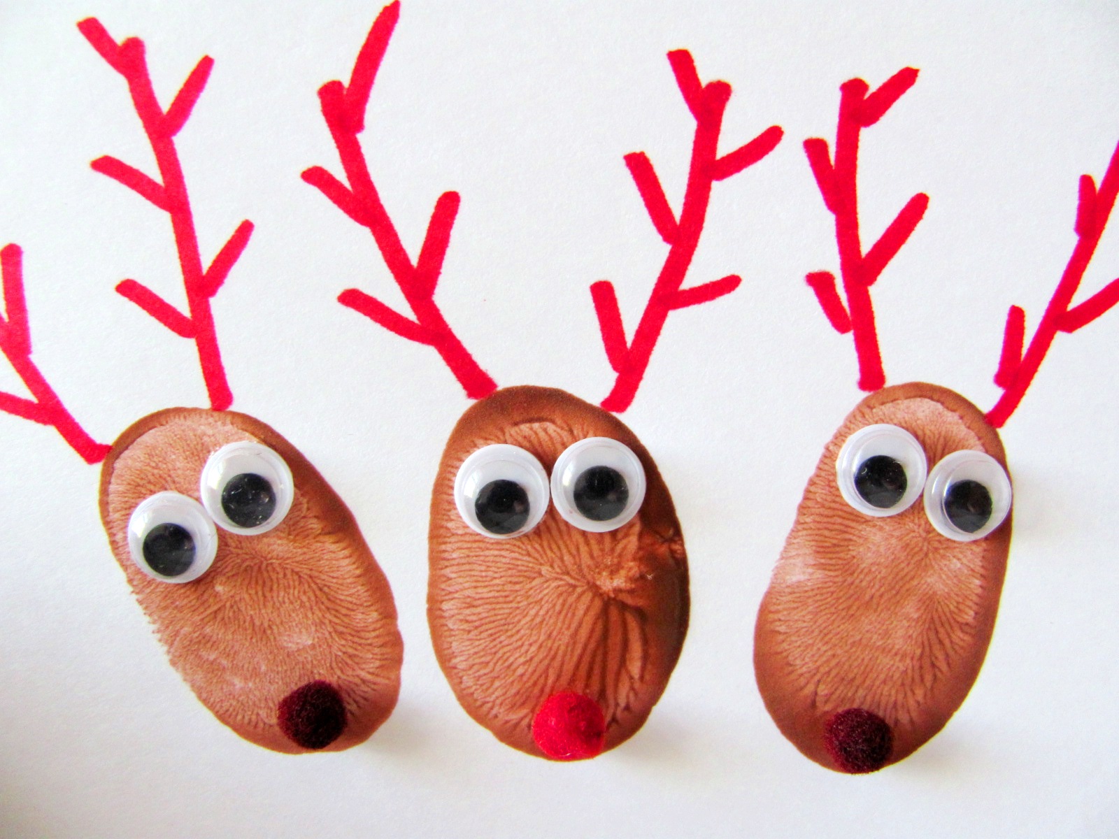 colormehappy: Rudolf the rednosed reindeer had a very shiny nose ...